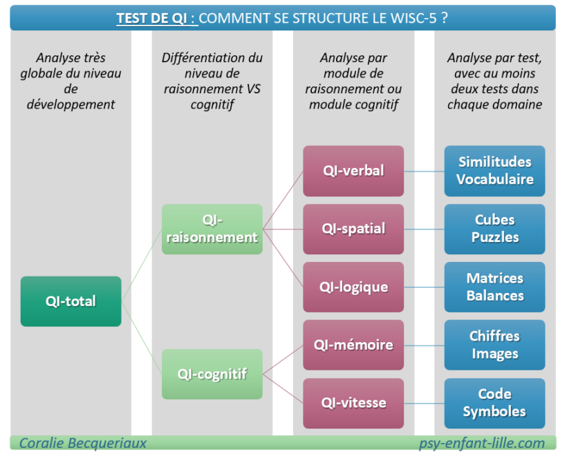 Que signifient les chiffres du test de QI ? - Coralie Becqueriaux